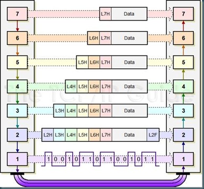 Spector Training: Functions & Components of LAN